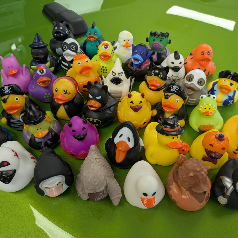 Ducks for Ducking (Halloween) – Jeep World
