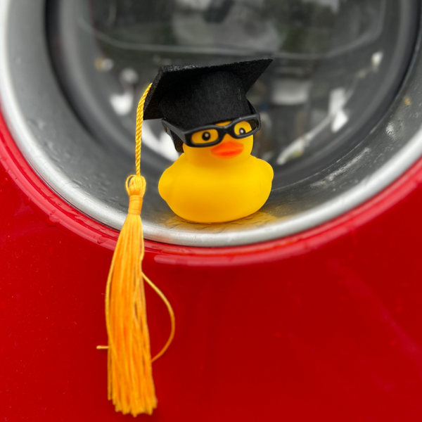 Ducks for Ducking (Graduation) – Jeep World